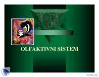 OLFAKTIVNI SISTEM-Slajdovi-Anatomija-Medicina - Docsity