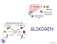 Glikogen-Slajdovi-Biohemija-Medicina | Slajdovi' predlog Prva pomoć ...