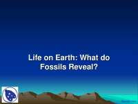 Fossils Reveal - Paleontology - Lecture Slides - Docsity