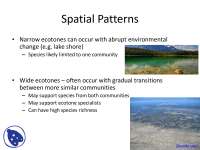 Spatial Patterns - Geography - Lecture Slides - Docsity