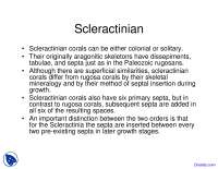 Scleractinian - Environmental Geology - Lecture Slides - Docsity