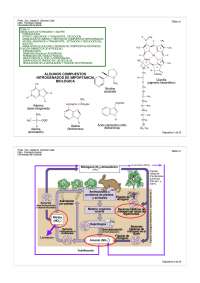Fisología vegetal tema 10 - Apuntes de Fisiología de las Plantas - Docsity