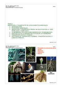 Fisología vegetal tema 9 - Apuntes de Fisiología de las Plantas - Docsity