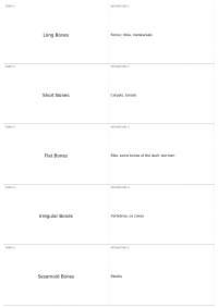 Types of Bones | BIOL 205 - BASIC HUMAN ANATOMY - Docsity