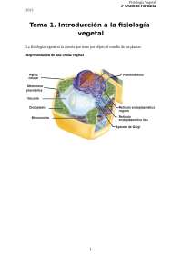 Fisiologia vegetal - Apuntes de Fisiología de las Plantas - Docsity
