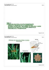 Fisología vegetal tema 12 - Apuntes de Fisiología de las Plantas - Docsity