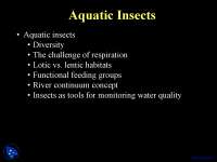 Aquatic Insects - Entomology - Lecture Slides - Docsity