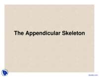 Appendicular Skeleton - Anatomy and Physiology LAB - Lecture Slides ...