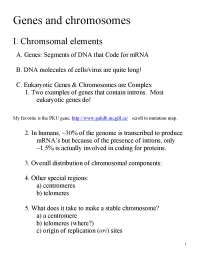 Genes and chromosomes - Biochemistry - Lecture Handout - Docsity