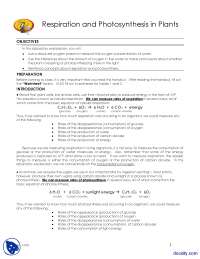 Photosynthesis and Respiration - Biology - Lab Handout - Docsity