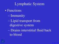 Lymphatic System - Basic Human Anatomy - Lecture Slides - Docsity