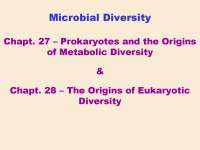 Prokaryotes and the Origins of Metabolic Diversity - Biology for ...