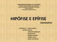 Glândulas Endócrinas: Hipófise e Epífise - Apresentação anatomia - Docsity