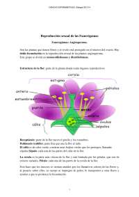 Reproducción plantas - Apuntes de Ciencias de la Educación - Docsity