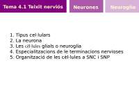 Fisiologia: el teixit nervios - Docsity