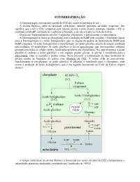 Fisiologia comparada das plantas C3 e C4 - Fisiologia comparada das ...
