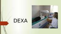 Apresentação DEXA - As estimativas de composição corporal com ...