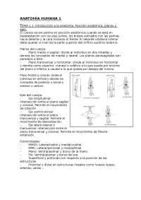 APUNTES DE ANATOMIA. - Apuntes de Anatomía - Docsity