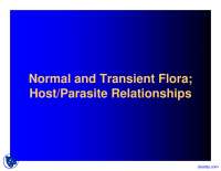 Normal and Transient Flora - Microbiology - Lecture Slides - Docsity