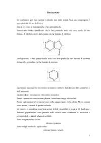 Basi azotate - Docsity