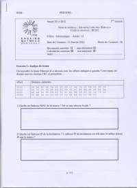 Exercices sur l'architecture des réseaux | Exercices Application informatique | Docsity