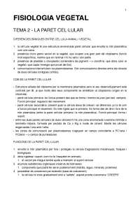 FISIOLOGIA VEGETAL - Apuntes de Fisiología de las Plantas - Docsity