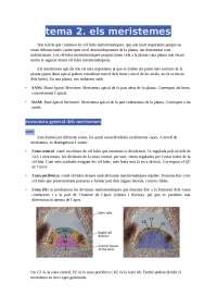 Fisio Vegetal Integrativa T.2 - Apuntes de Fisiología de las Plantas ...