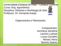 Geneses e Morfologia do Solo - Organossolo e Planossolo - Organossolo e ...