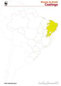 Mapa WWF-Bioma Caatinga - Ecologia e Ambiente - Docsity