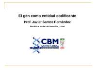 Adn no codificante: caracteristicas - Docsity