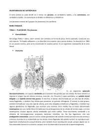 Invertebrados Zoología 1º Biología - Apuntes de Zoología - Docsity