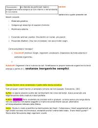 Differenze tra cellule eucariote e procariote - Docsity