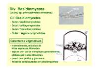 Hongos - Apuntes de Fisiología de las Plantas - Docsity