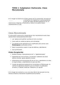 Subphylum Chelicerata. Clase Merostomata - Apuntes de Biología - Docsity
