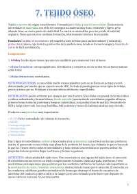 Tejido conectivo de origen mesodérmico. Formado por célula - Apuntes de ...