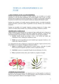 Angiospermas I: la flor - Apuntes de Botánica y Agronomía - Docsity
