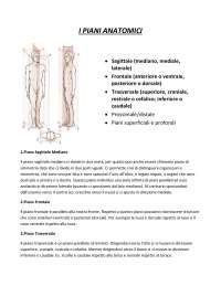 1 lezione anatomia I - Piani anatomici e Osso - Docsity