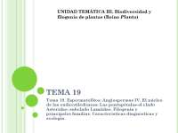 CLADO SUPER-ASTÉRIDAS SUBCLADO LAMIIDAE Plantas en general trepador ...