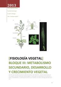 Fisiología Vegetal Bloque III - Apuntes de Fisiología de las Plantas ...