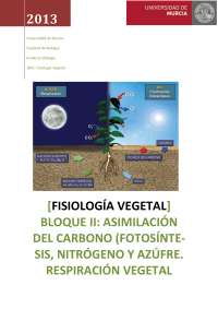 Fisiología Vegetal Bloque II - Apuntes de Fisiología de las Plantas ...