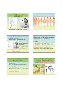 Ejemplos de Heterocronía - Ejercicios de Zoología - Docsity