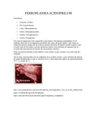 Ferroplasma acidophilum - Apuntes de Geología - Docsity