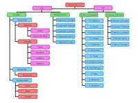Separados, la división simpática y la división parasimpática - Apuntes ...