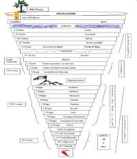 Schema Inferno Dante - Docsity