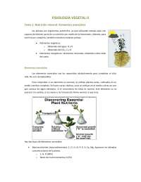 Apuntes de Fisiología Vegetal II (3º Biologia UVIGO) M. Rey - Apuntes ...