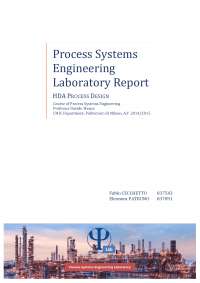 Process System Engineering Report - Docsity