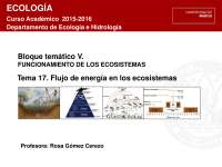 Funcionamiento de los ecosistemas: flujo de energía en los ecosistemas ...