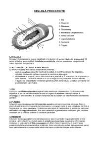 Biologia cellula procariote - Docsity