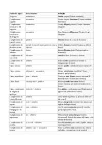 Complementi in latino - Docsity