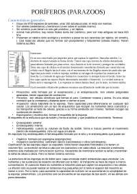 PORÍFEROS (PARAZOOS Características generales - Apuntes de Zoología ...